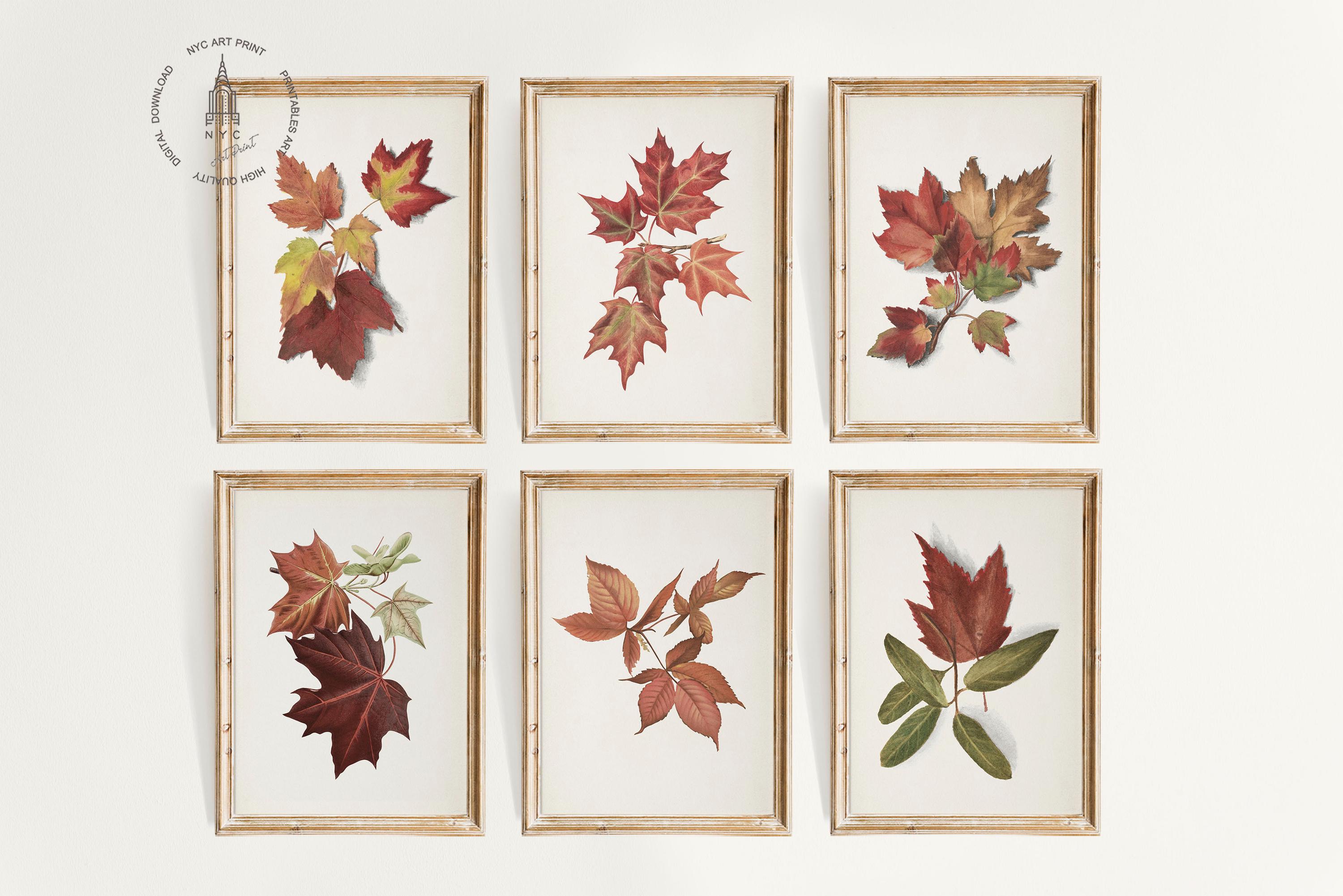 Set of 6 Vintage Fall Leaves Print, Autumn Printable Wall Art, Fall ...