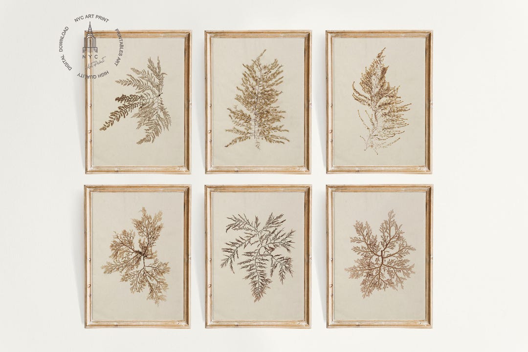 Set of 6 Vintage Ferns Prints, Ferns Botanical Print Set, Ferns Wall ...