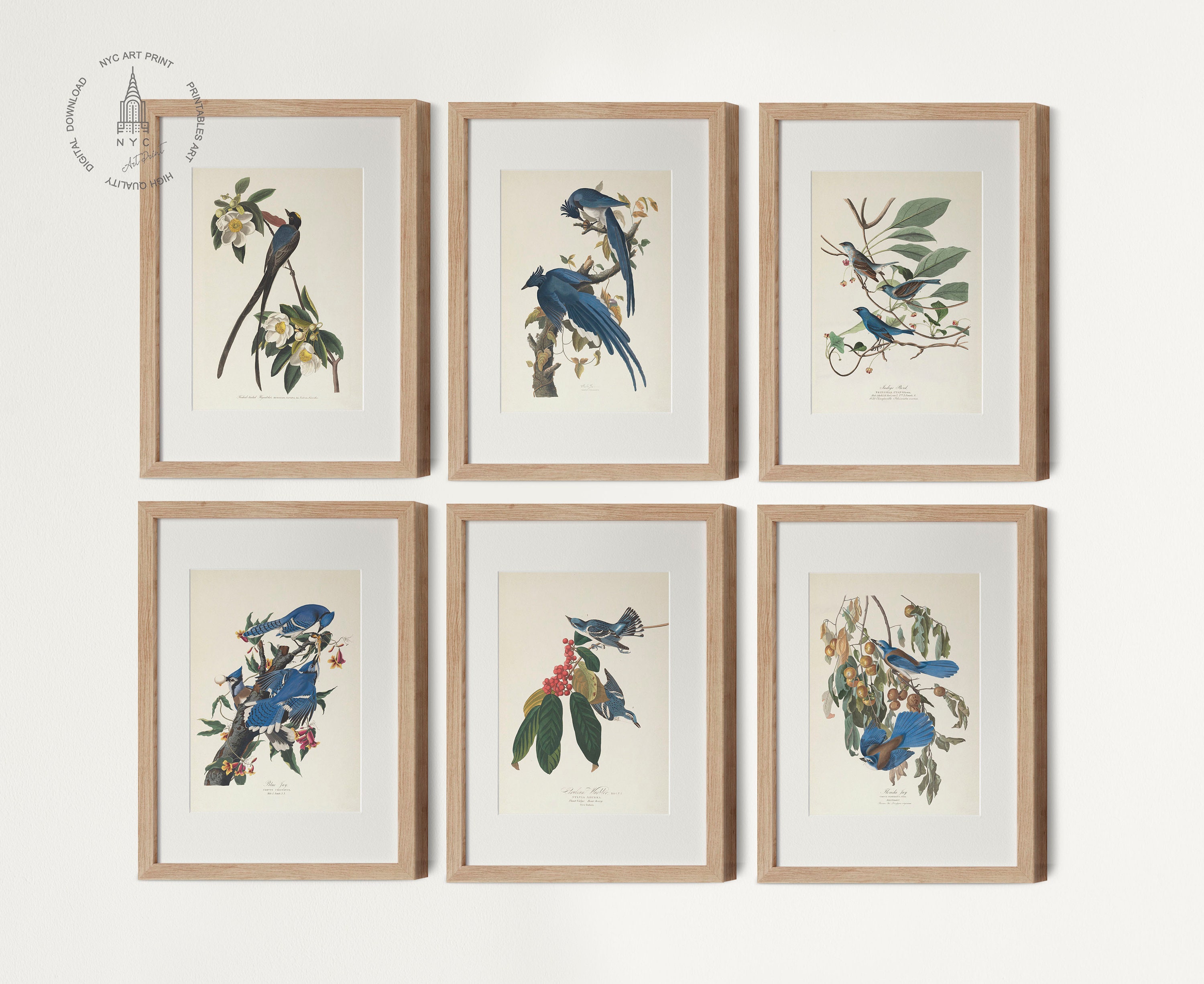 Set of 6 Vintage Birds Prints, Blue Birds Print, Vintage Birds Painting ...