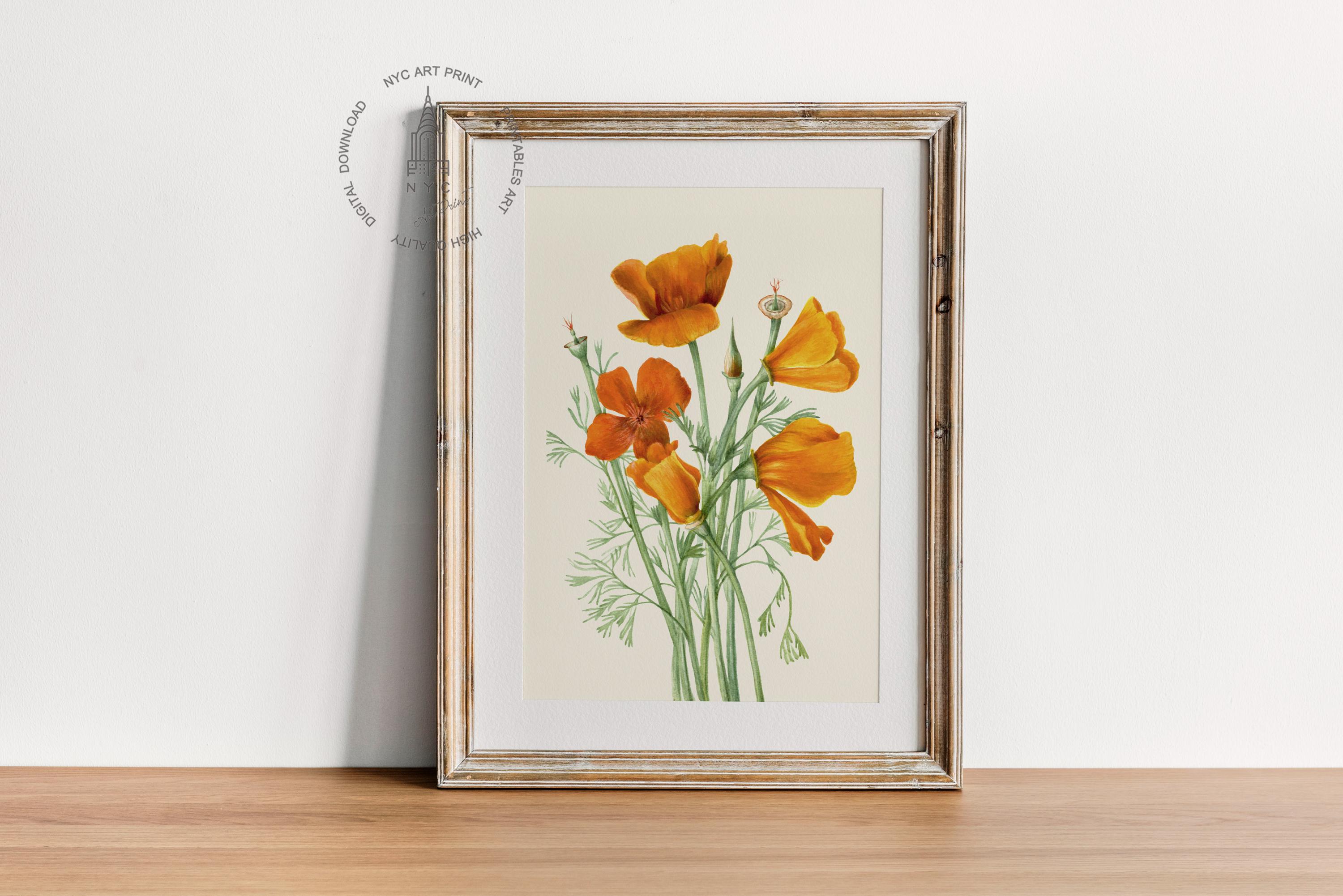 Vintage Poppy Print, California Poppy Print, Vintage Flower Painting ...