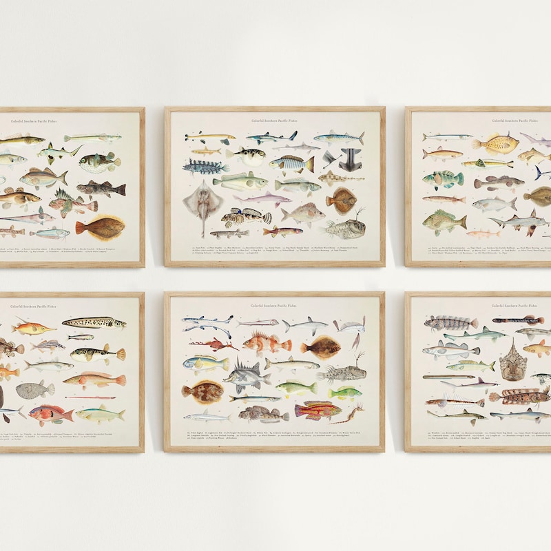 Vintage Fish Poster - Etsy