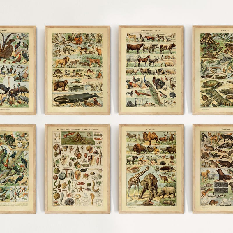 Animal Poster - Etsy
