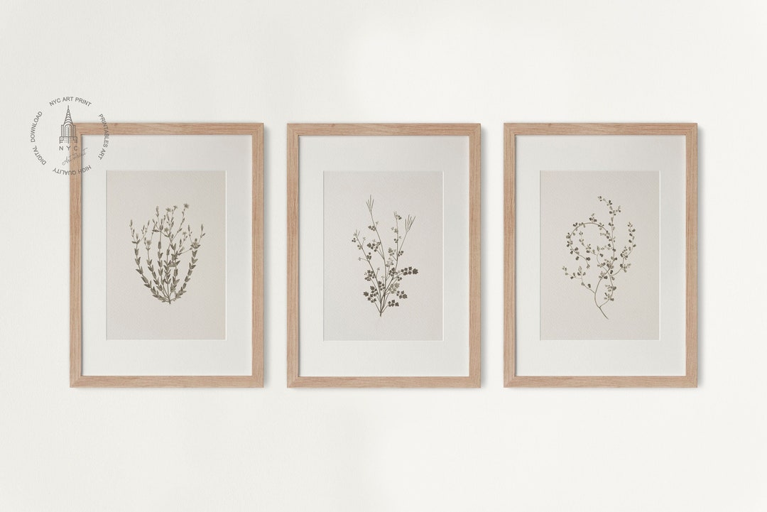 Set of 3 Vintage Botanical Prints, Vintage Neutral Botanical Prints ...