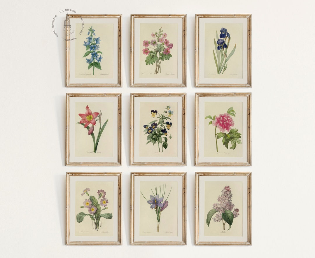 Vintage Spring Flowers Gallery Wall Set of 9, Spring Botanical Prints ...
