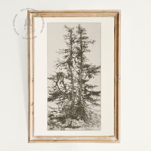 Vintage Rustic Tree Gallery Wall Set of 4, Vintage Tree Sketches ...