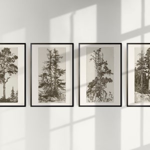 Vintage Rustic Tree Gallery Wall Set of 4, Vintage Tree Sketches ...