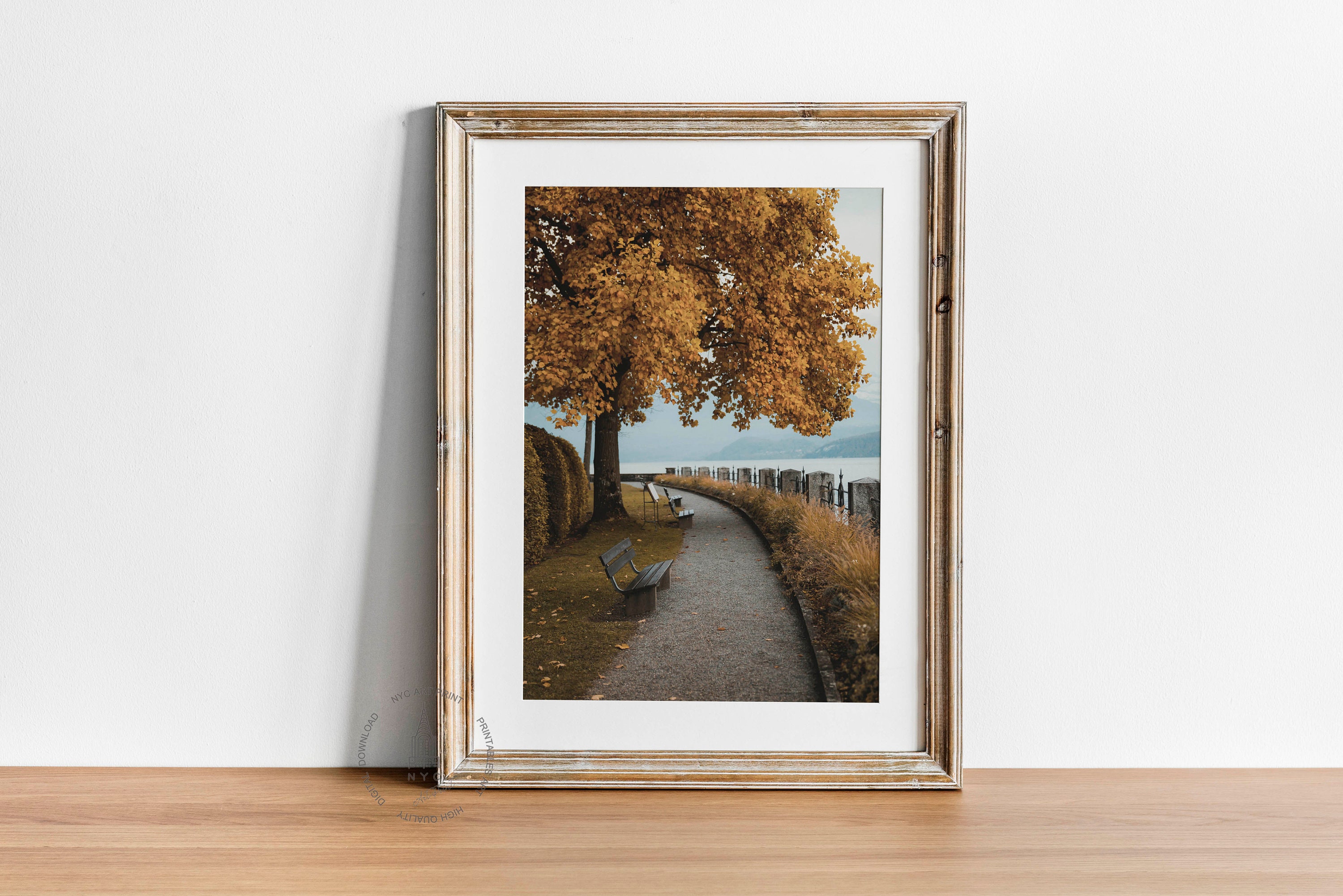 Fall Wall Art Autumn Gallery Wall Set of 8 Autumn Printable - Etsy
