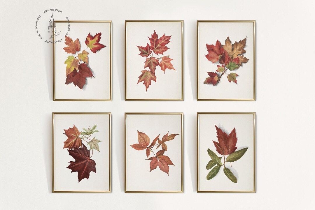 Set of 6 Vintage Fall Leaves Print, Autumn Printable Wall Art, Fall ...