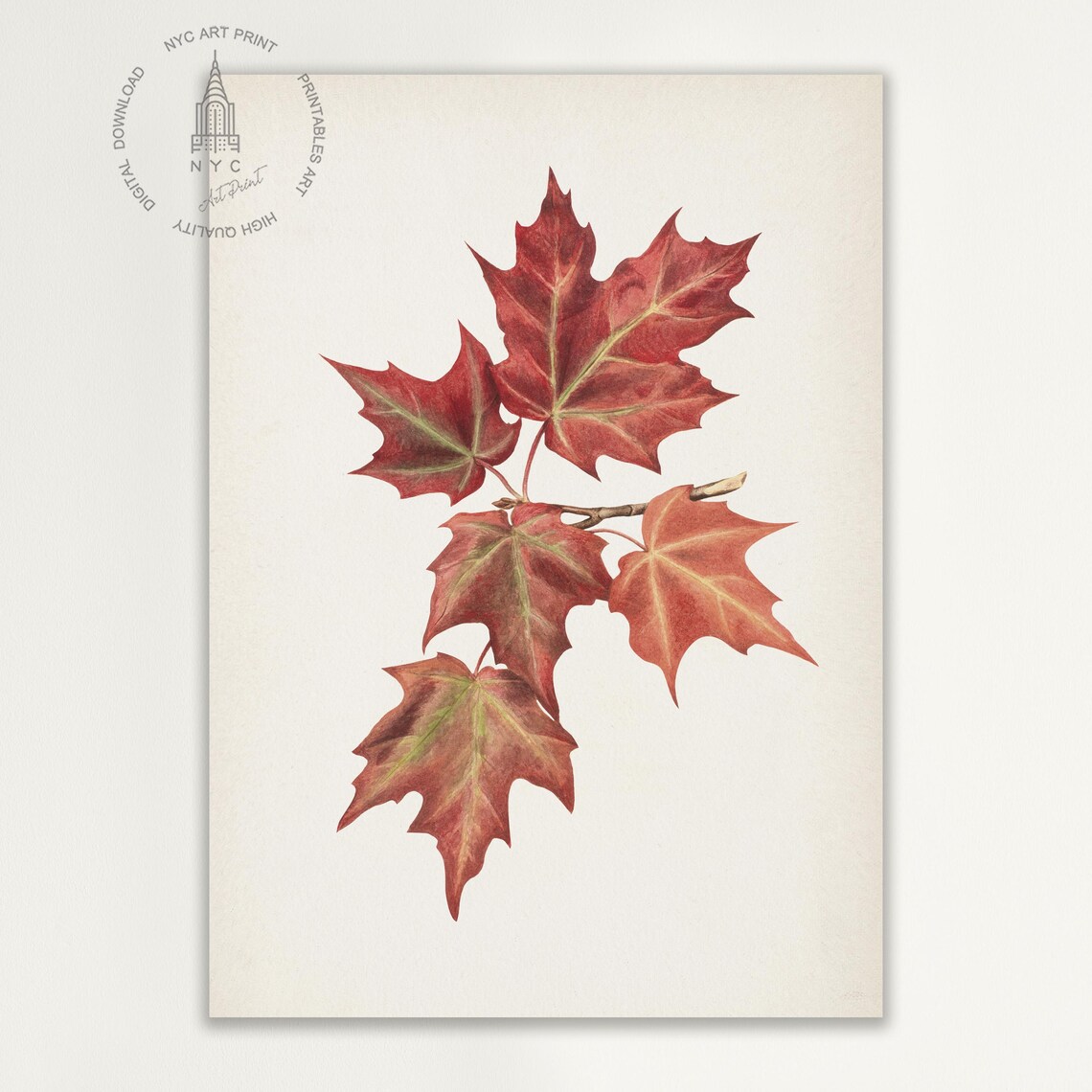 Set of 6 Vintage Fall Leaves Print, Autumn Printable Wall Art, Fall ...