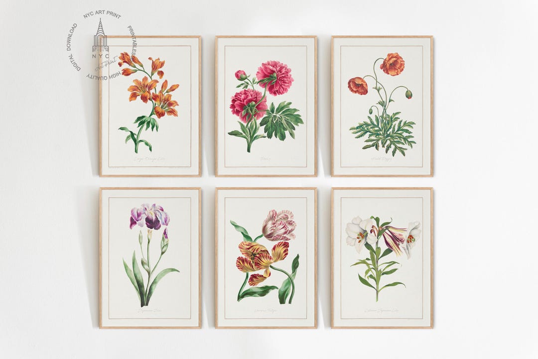 Vintage Spring Flower Prints Set of 6, Spring Botanical Prints, Spring ...