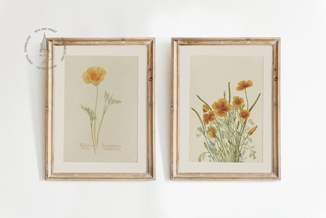 Set of 2 Poppy Prints, California Poppy Prints, Mexican Poppy, Vintage ...