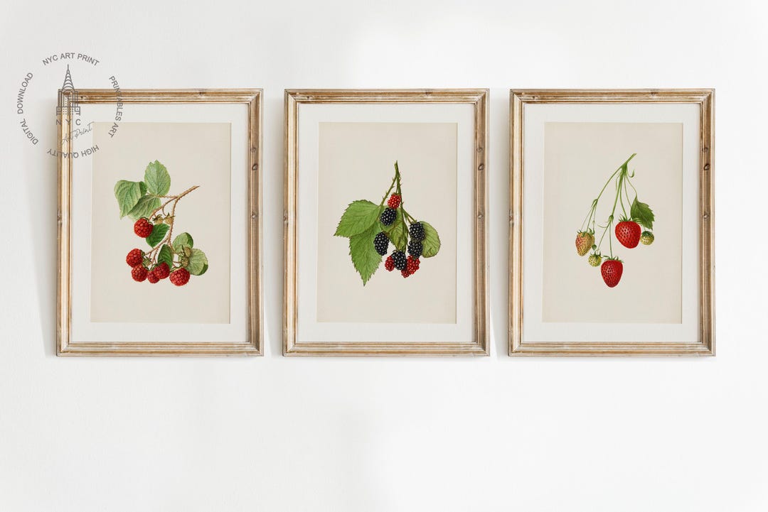Set of 3 Vintage Berry Prints, Fruit Painting, Blackberry Watercolor ...