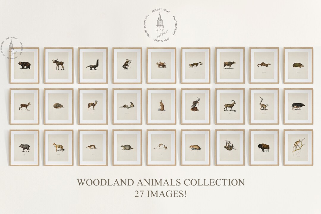 Woodland Animal Bundle, Gallery Wall Set of 27, Woodland Nursery Art ...
