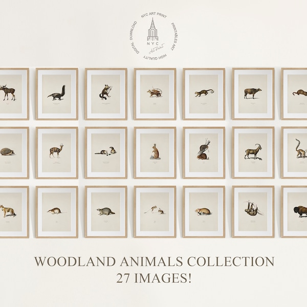 Woodland Vintage Animal Prints - Etsy