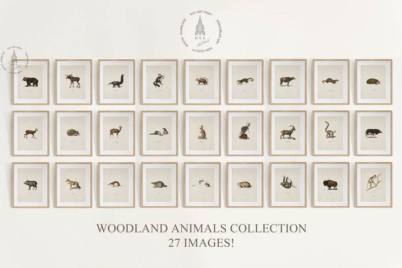 Woodland Animal Bundle, Gallery Wall Set of 27, Woodland Nursery Art ...