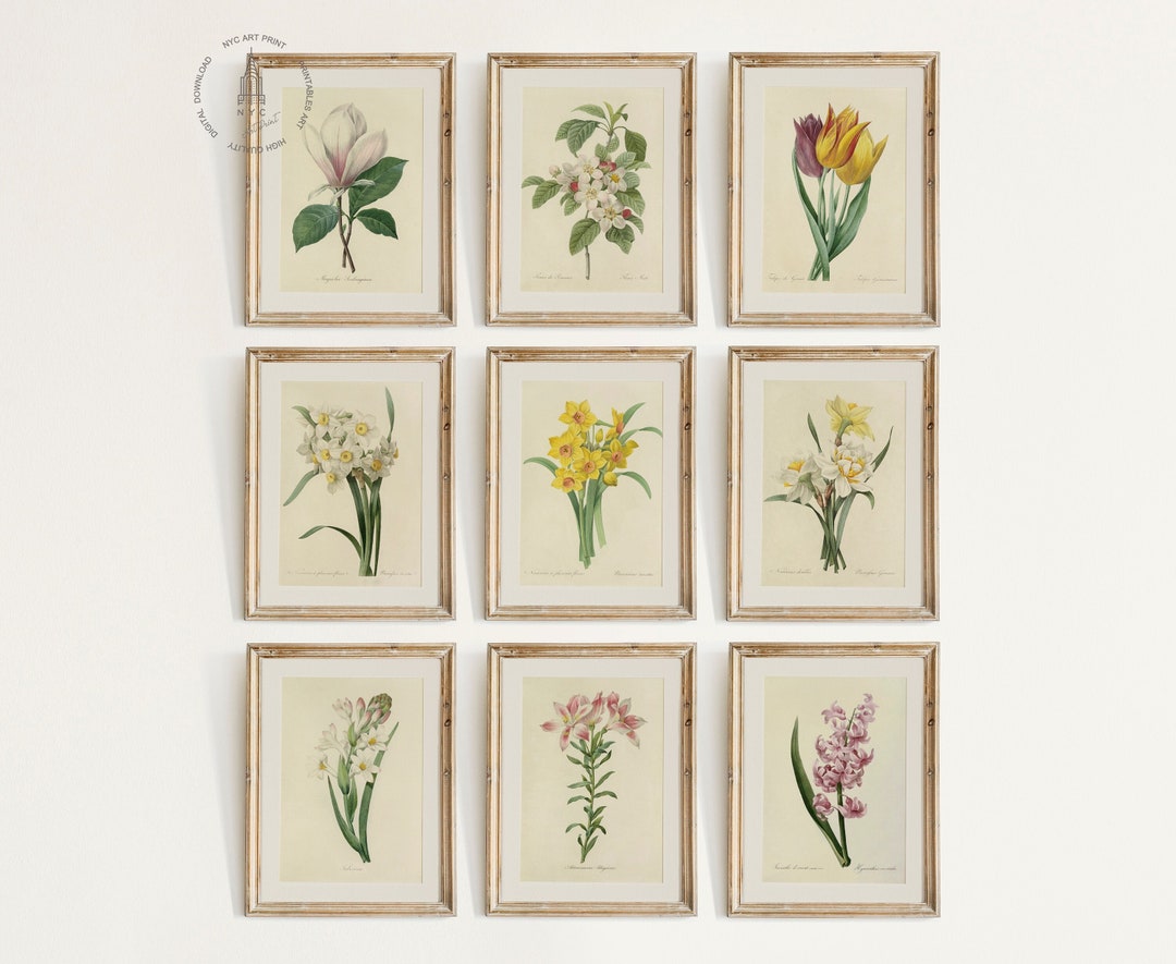 Vintage Spring Flowers Gallery Wall Set of 9, Spring Botanical Prints ...