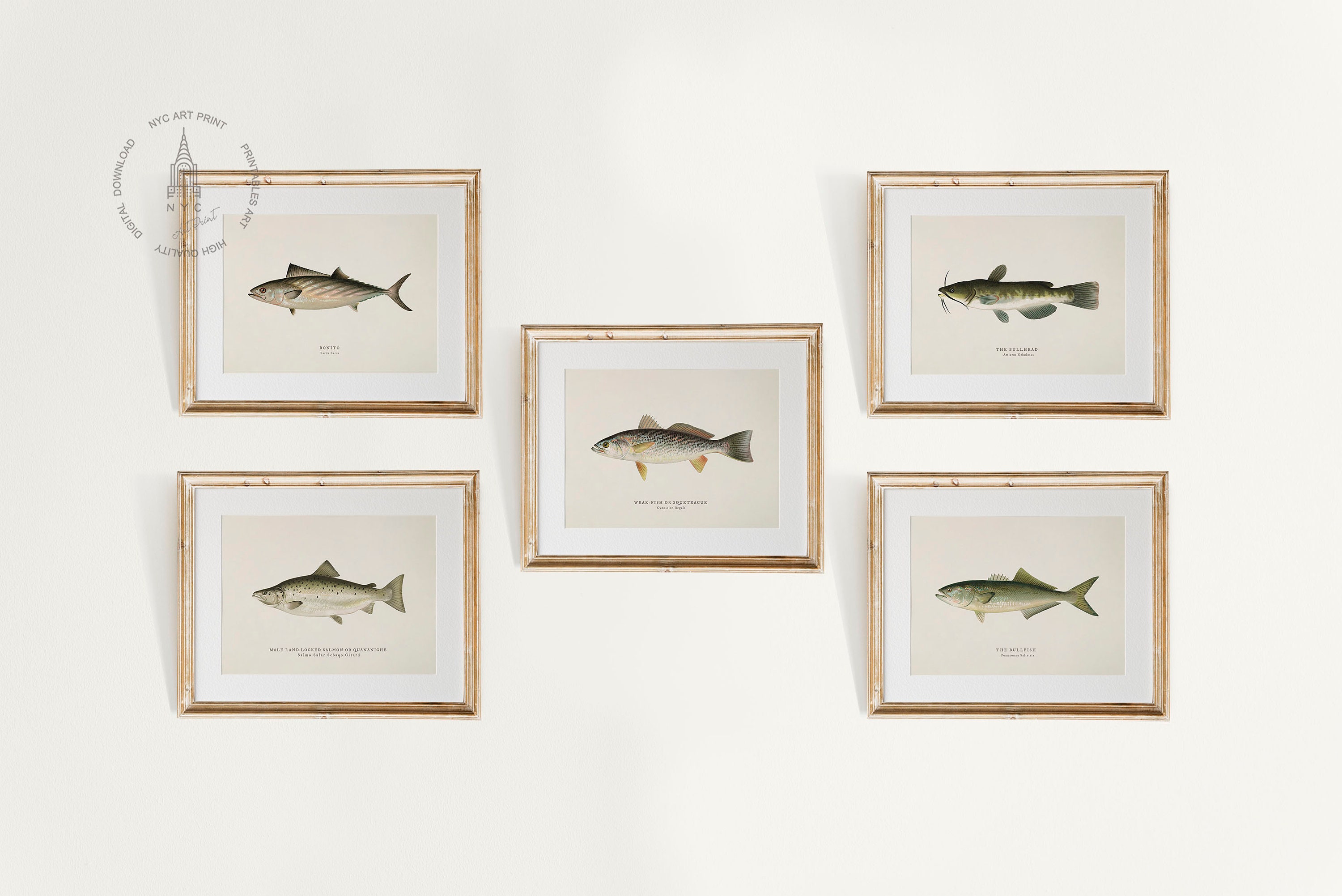 Vintage Fish Gallery Wall Set of 10, Fish Prints, Fish Painting ...