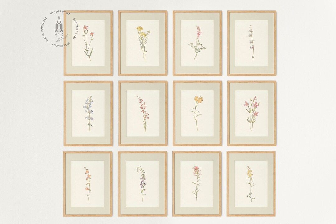 Vintage Botanical Prints Gallery Wall Set of 12, Floral Poster, Rustic ...