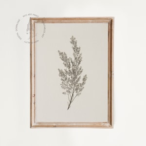 Set of 3 Vintage Botanical Prints, Vintage Neutral Botanical Prints ...