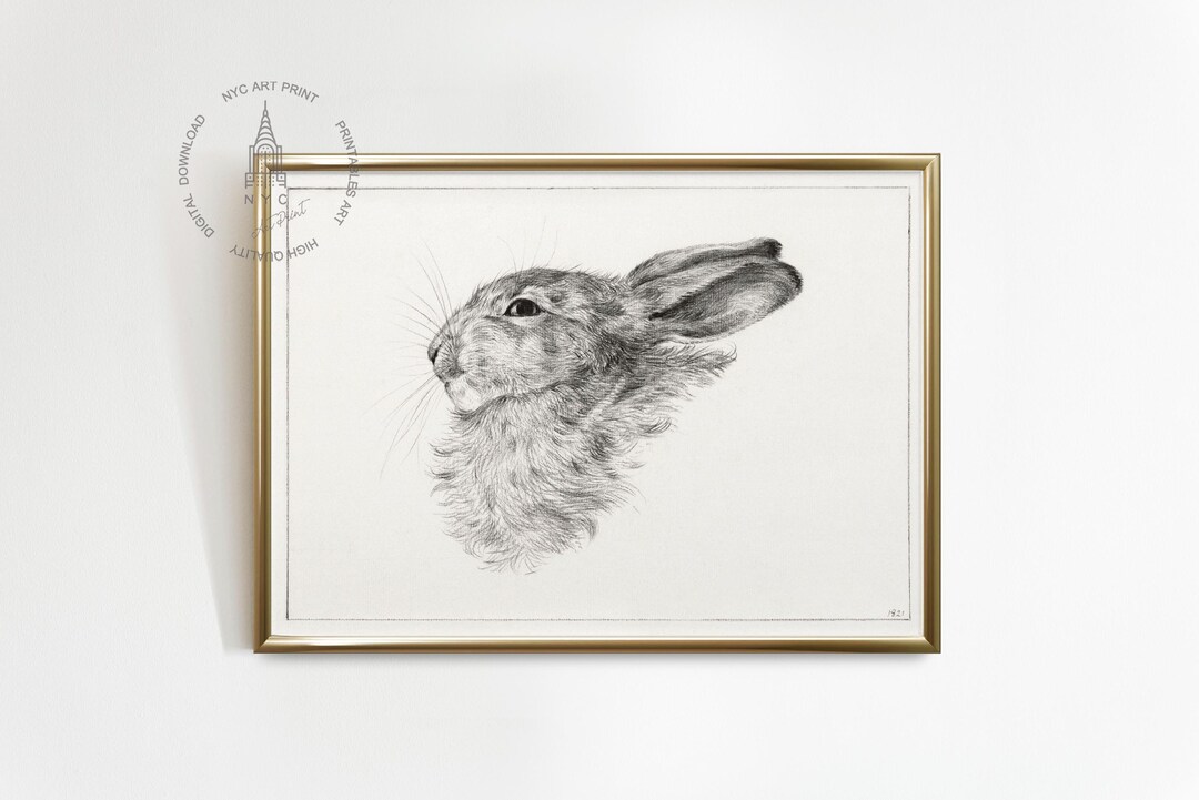 Vintage Rabbit Print, Head Rabbit Drawing, Antique Rabbit Painting ...