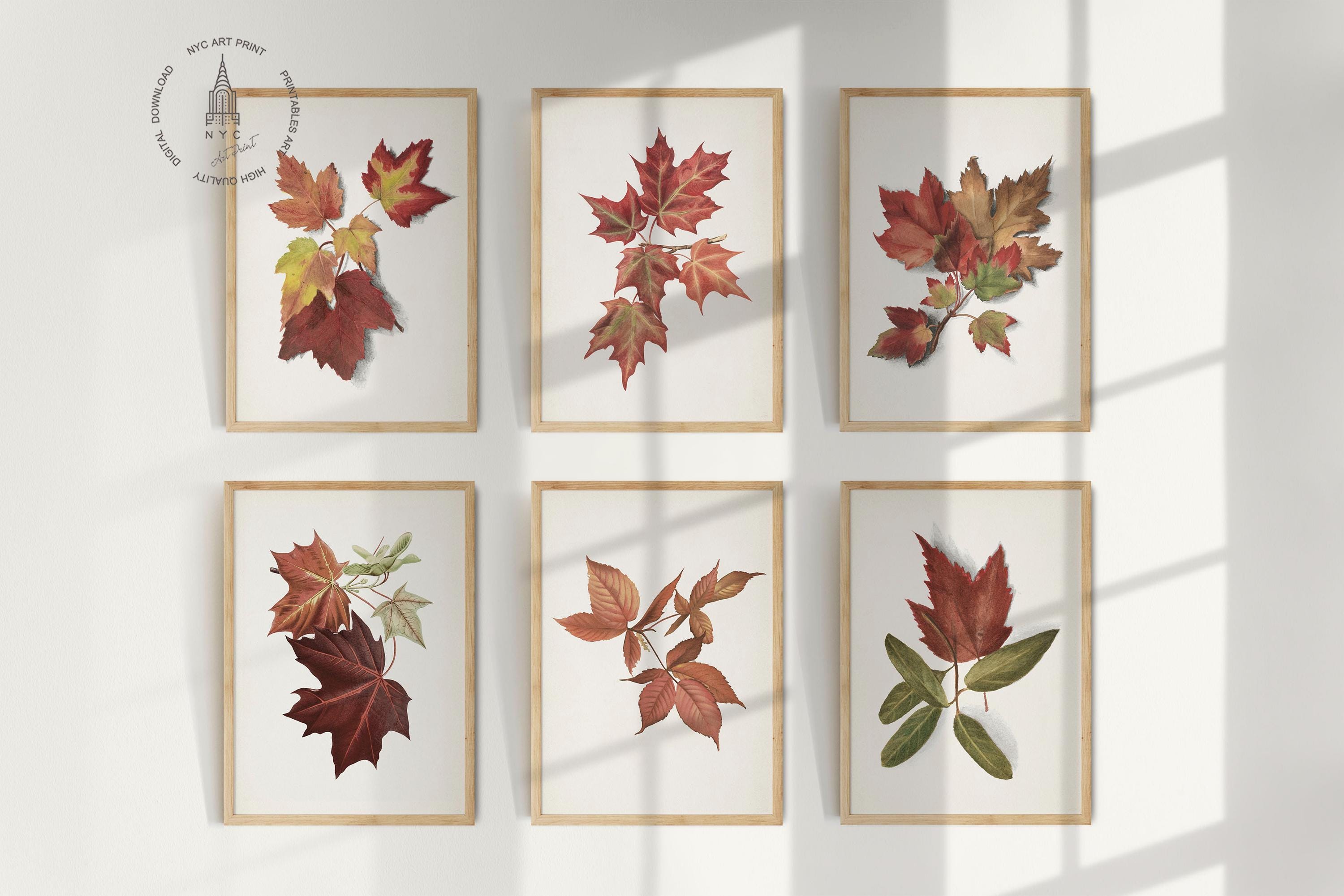 Set of 6 Vintage Fall Leaves Print, Autumn Printable Wall Art, Fall ...