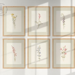 Vintage Botanical Prints Gallery Wall Set of 12, Floral Poster, Rustic Botanical Wall Art ...