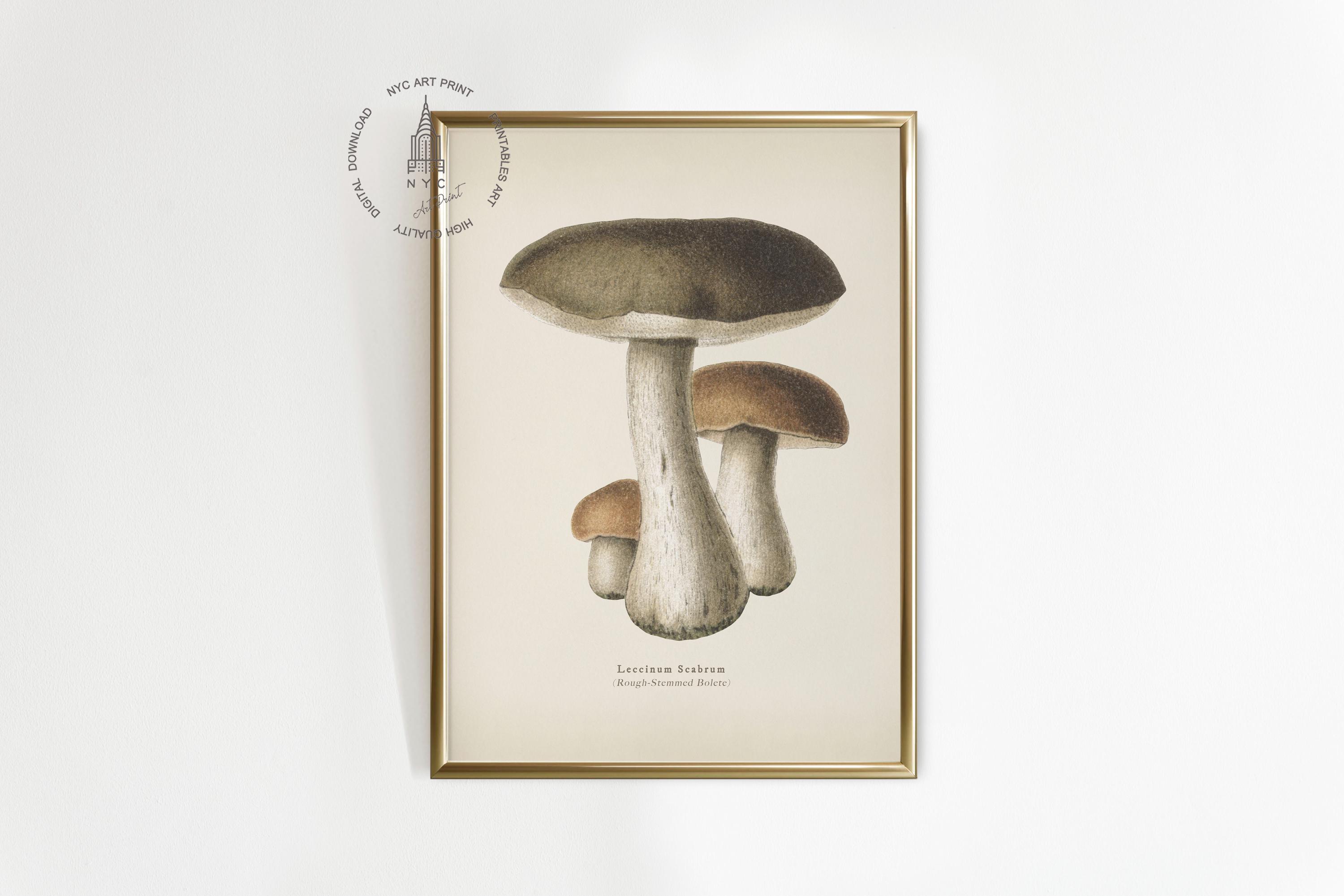Vintage Mushroom Print, Mushroom Decor, Mushrooms Illustrations ...