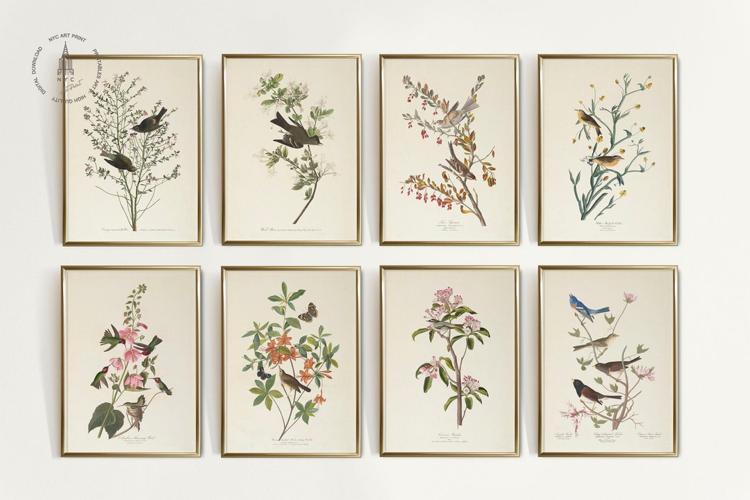 Set of 8 Vintage Birds Prints, Vintage Birds Painting, Botanical Prints ...