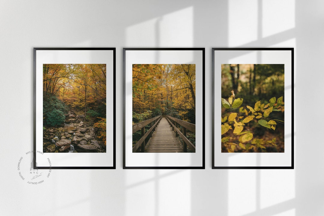 Fall Wall Art, Autumn Gallery Wall Set of 3, Autumn Printable Wall Art ...