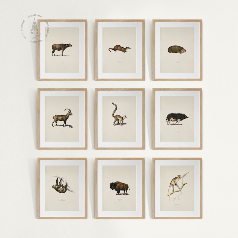 Woodland Animal Bundle, Gallery Wall Set of 27, Woodland Nursery Art ...