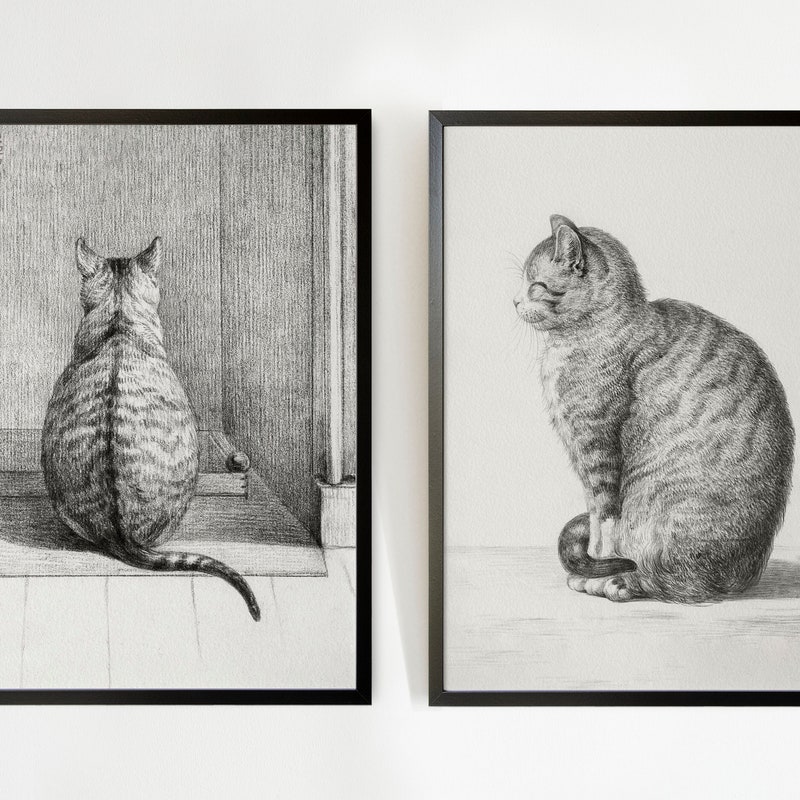 Cat Prints - Etsy