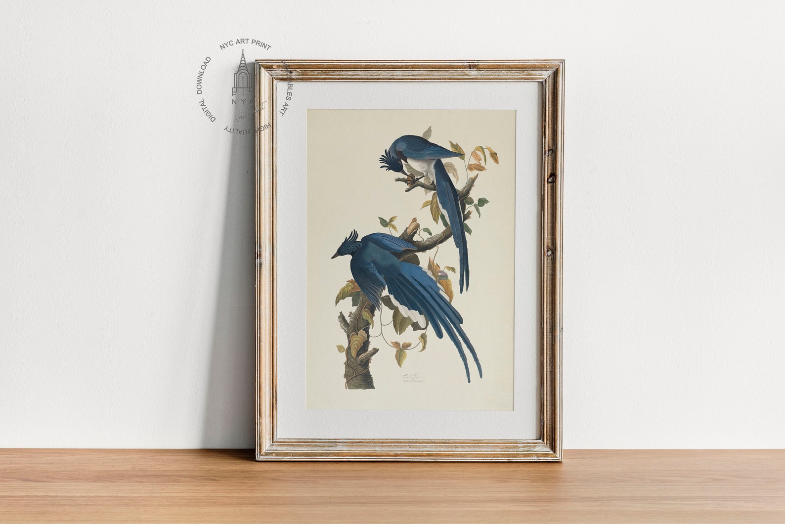 Set of 6 Vintage Birds Prints, Blue Birds Print, Vintage Birds Painting ...