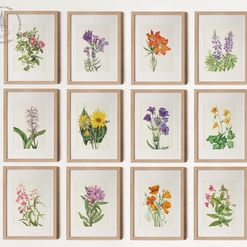 Floral Prints - Etsy