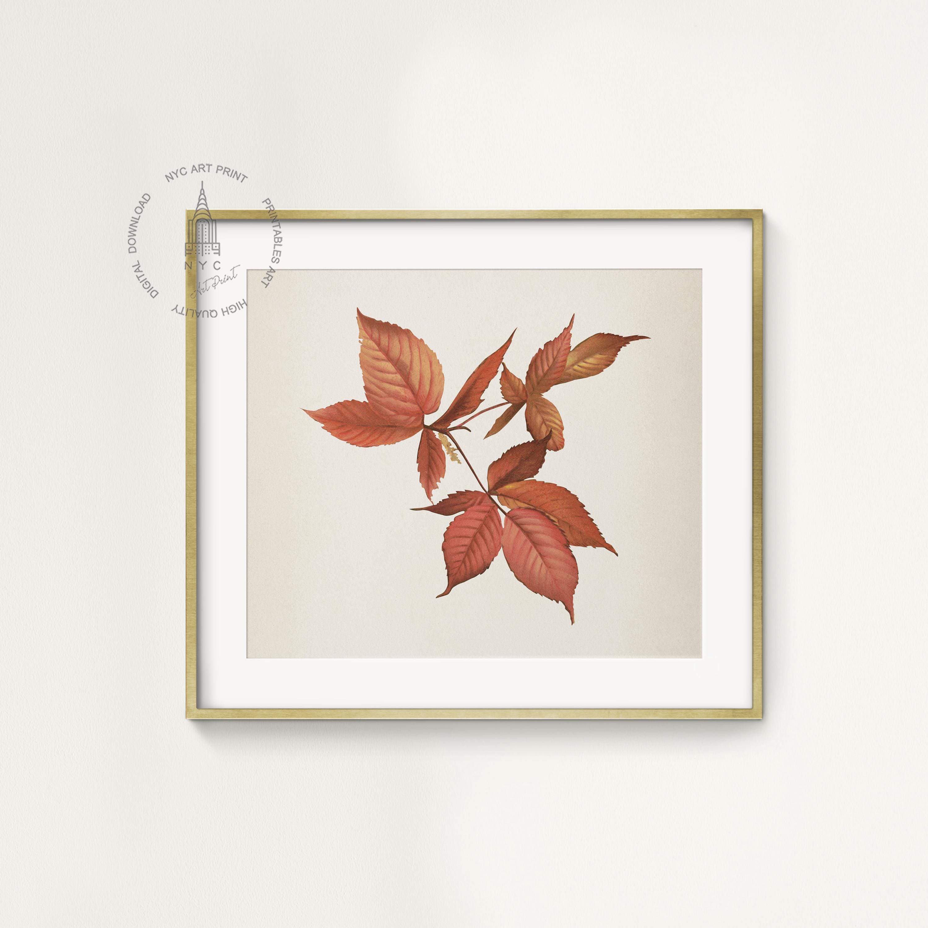 Set of 6 Vintage Fall Leaves Print, Autumn Printable Wall Art, Fall ...