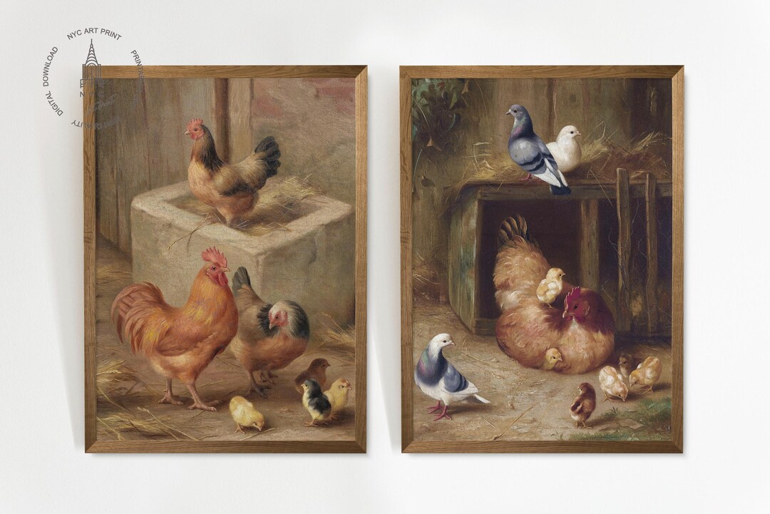 Set of 2 Chicken Prints, Vintage Farm Animals Prints, Pigeons Print ...