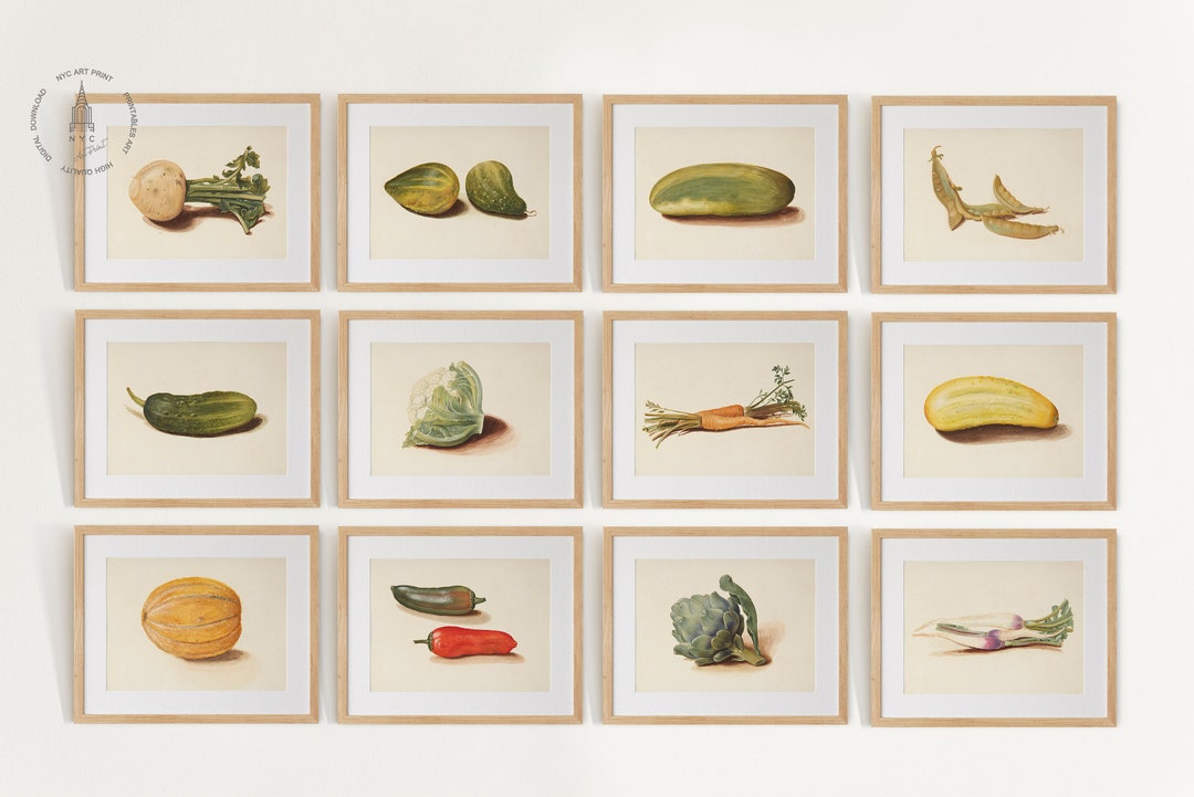 Vintage Kitchen Gallery Wall Set of 12 , Vegetable Painting, Vintage ...