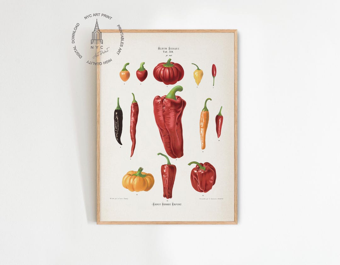Vintage Chili Pepper Print, Red Chili Pepper Printable Wall Art ...