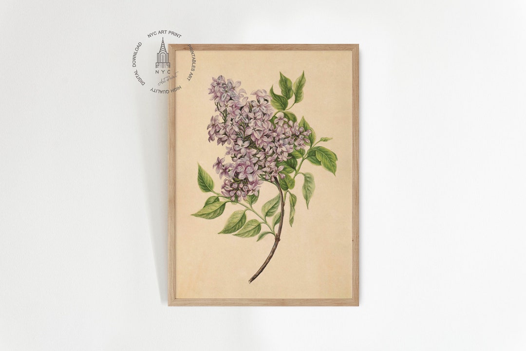 Vintage Lilac Print, Vintage Flower Painting, Spring Decor, Vintage ...
