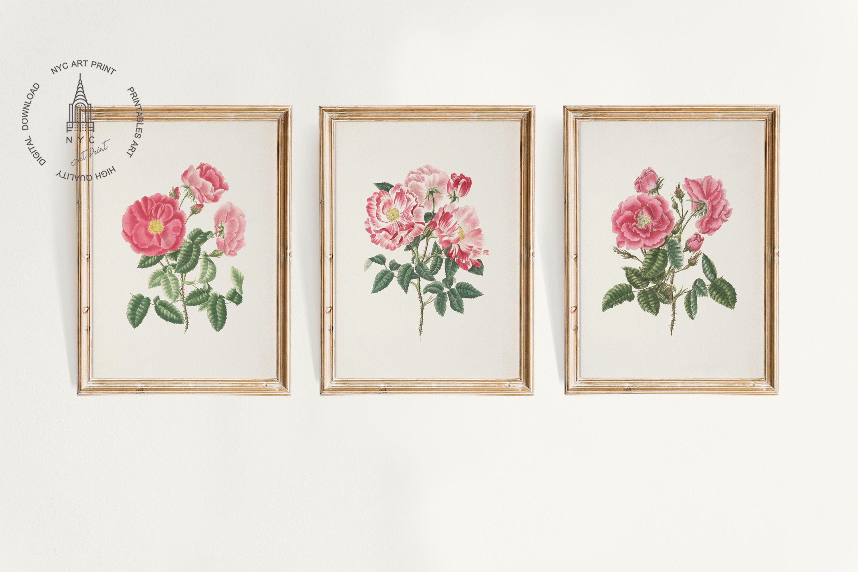 Vintage Roses Prints Gallery Wall Set of 6, Flower Print, Vintage ...