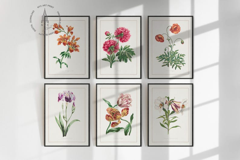 Vintage Spring Flower Prints Set of 6, Spring Botanical Prints, Spring ...