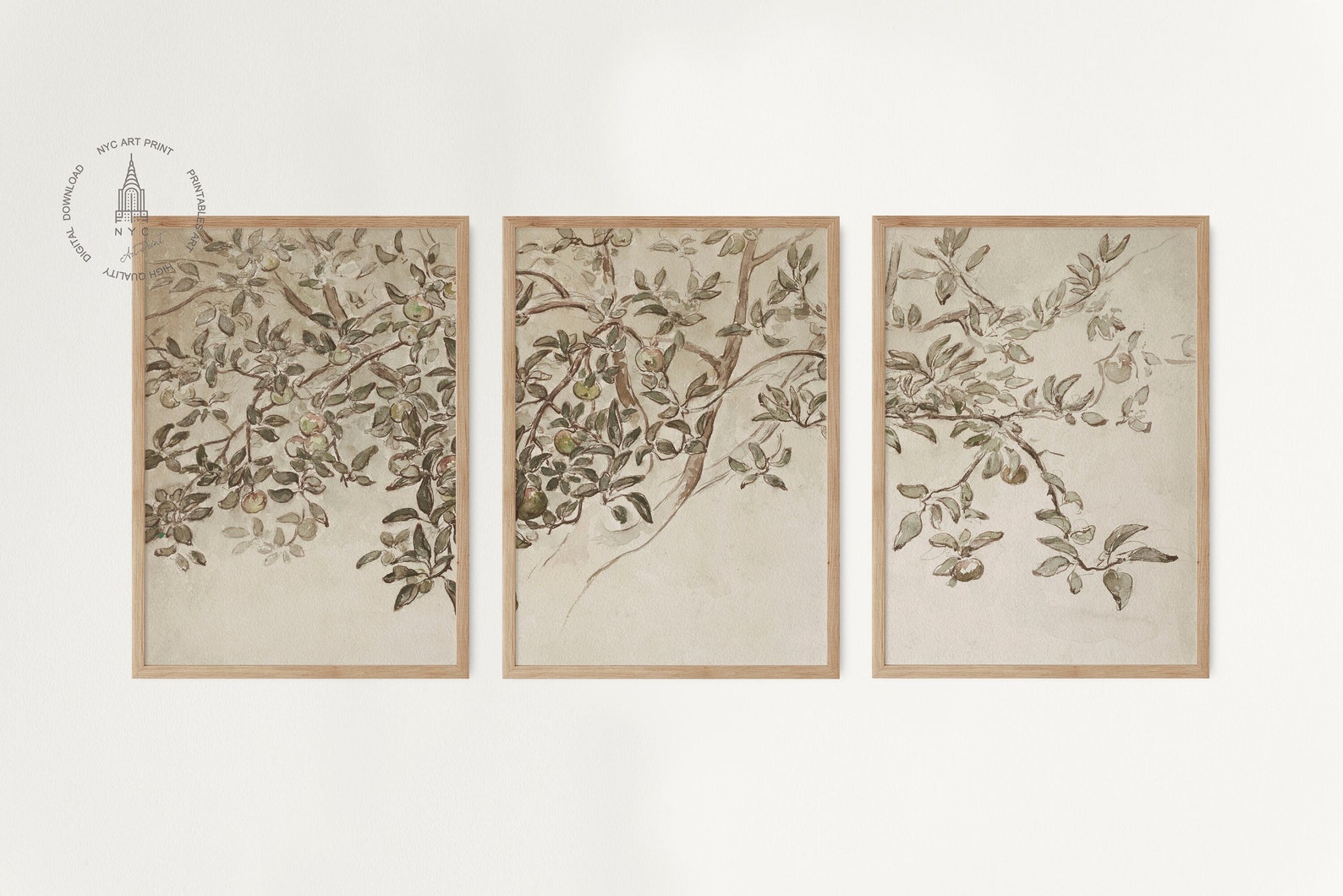 Vintage Spring Gallery Wall Set of 3, Apple Tree Sketch Art, Vintage ...