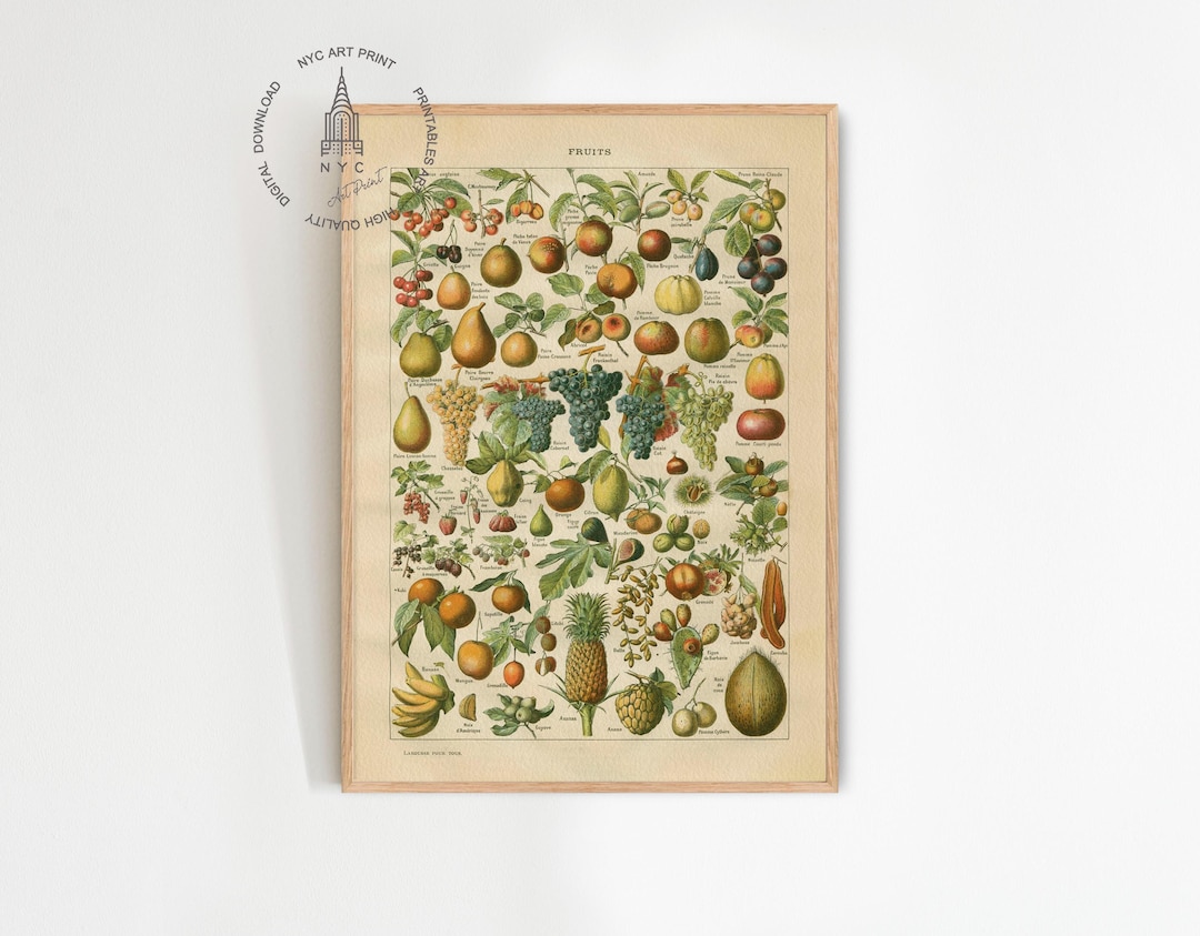 Vintage Fruits Print, Fruits Printable Wall Art, Fruits and Vegetables ...