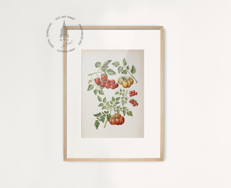 Vintage Tomato Print, Tomato Printable Wall Art, Tomato Print, Fruits ...