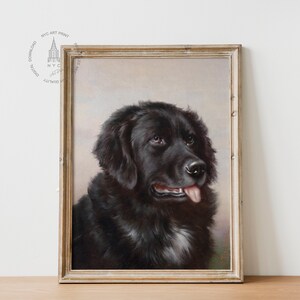 Vintage Dogs Gallery Wall Set of 12, Dogs Print, Vintage Dog Painting ...