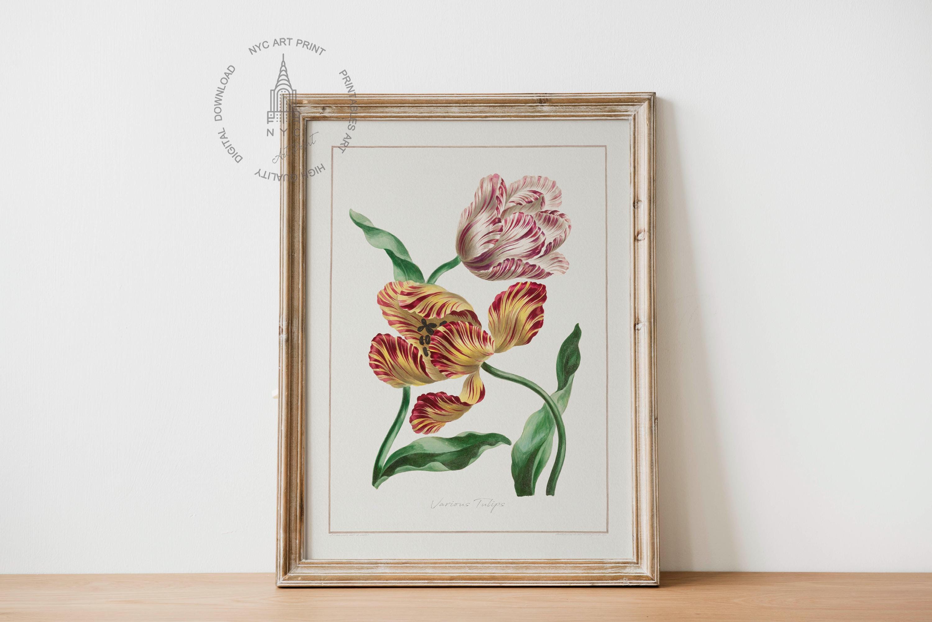 Vintage Spring Flower Prints Set of 6, Spring Botanical Prints, Spring ...