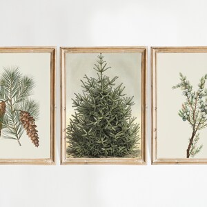 Christmas Prints Gallery Wall Set of 3, Vintage Christmas Printable ...