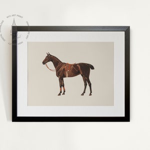 Vintage Horse Gallery Wall Set of 9, Horse Prints, Vintage Horse ...