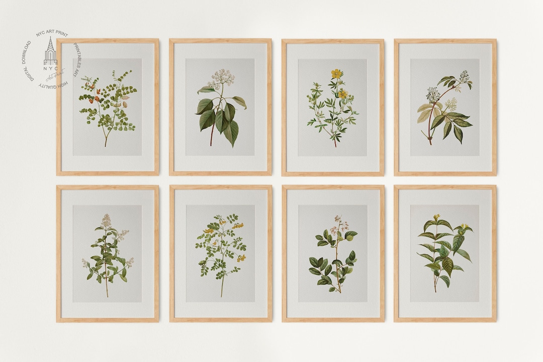 Vintage Botanical Prints Gallery Wall Set of 8, Floral Poster ...