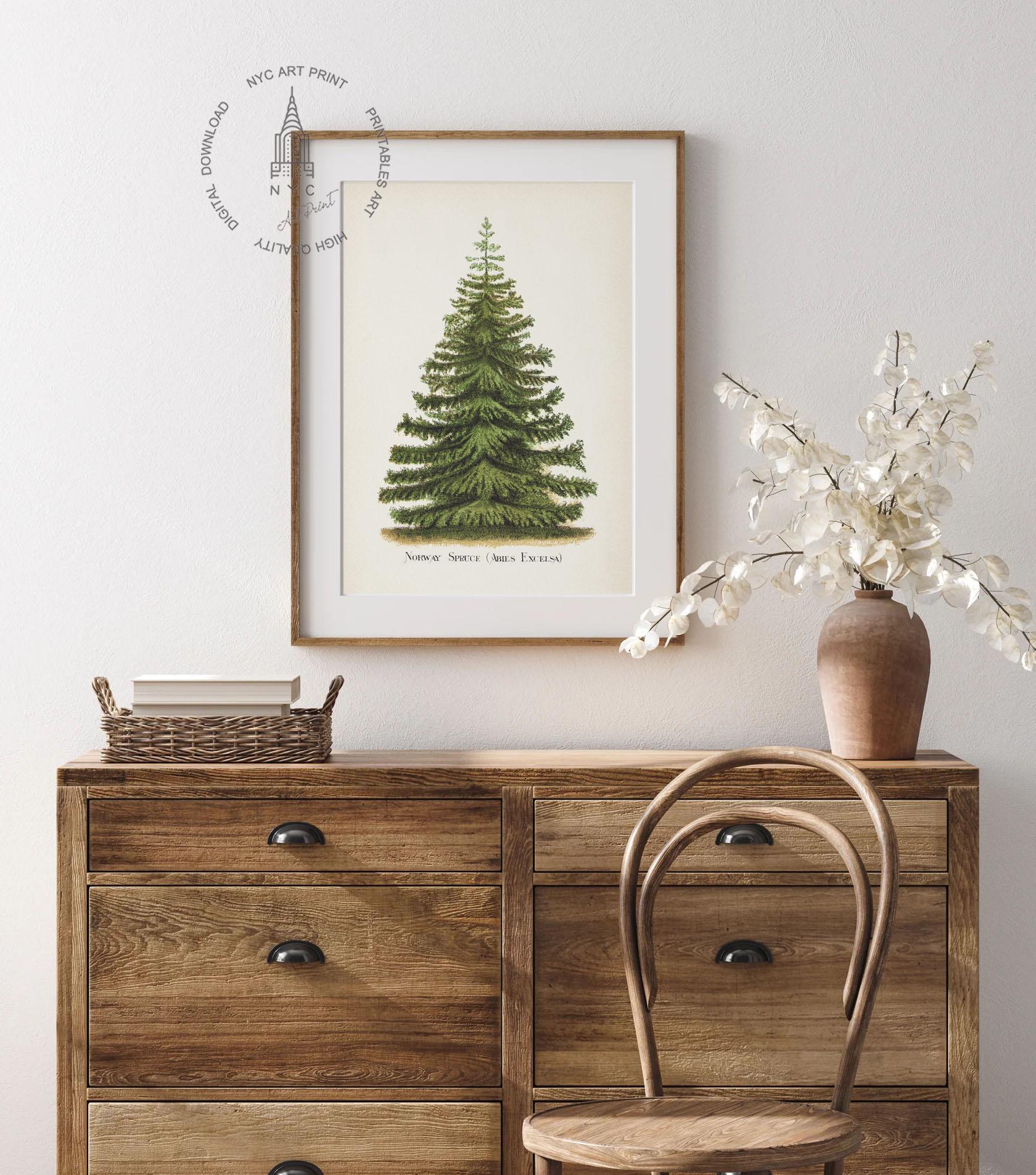 Set of 2 Vintage Christmas Tree Prints, Pine Tree Print, Spruce Tree ...