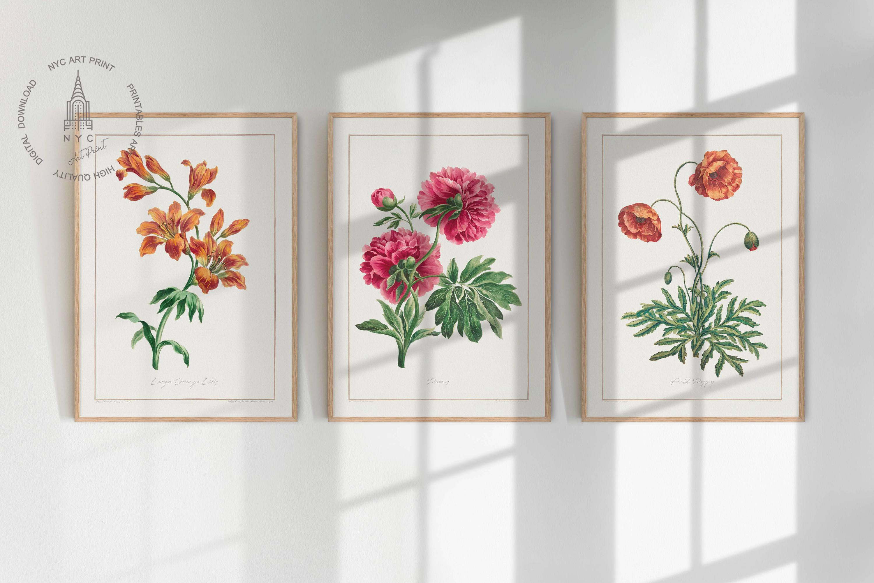 Vintage Spring Flower Prints Set of 6, Spring Botanical Prints, Spring ...